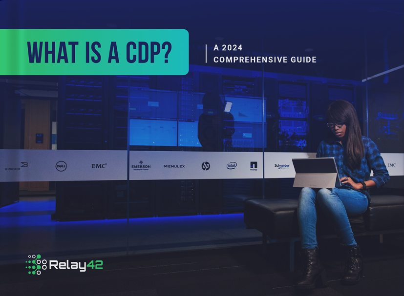 What is a CDP? - 2024 Comprehensive Guide